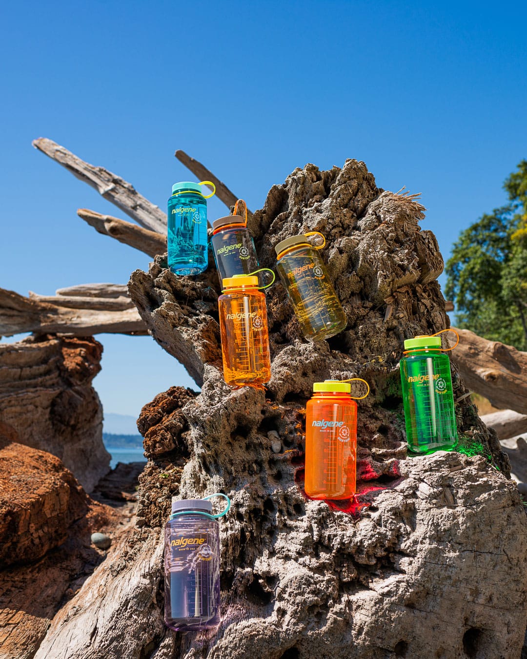 Eco-friendly Bottle Nalgene 32oz Sustain Tritan Water Bottle - BPA-Free ...